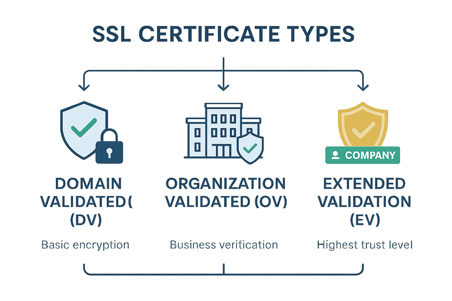 Understanding SSL Certificate Types Available from Trustico® – Trustico ...